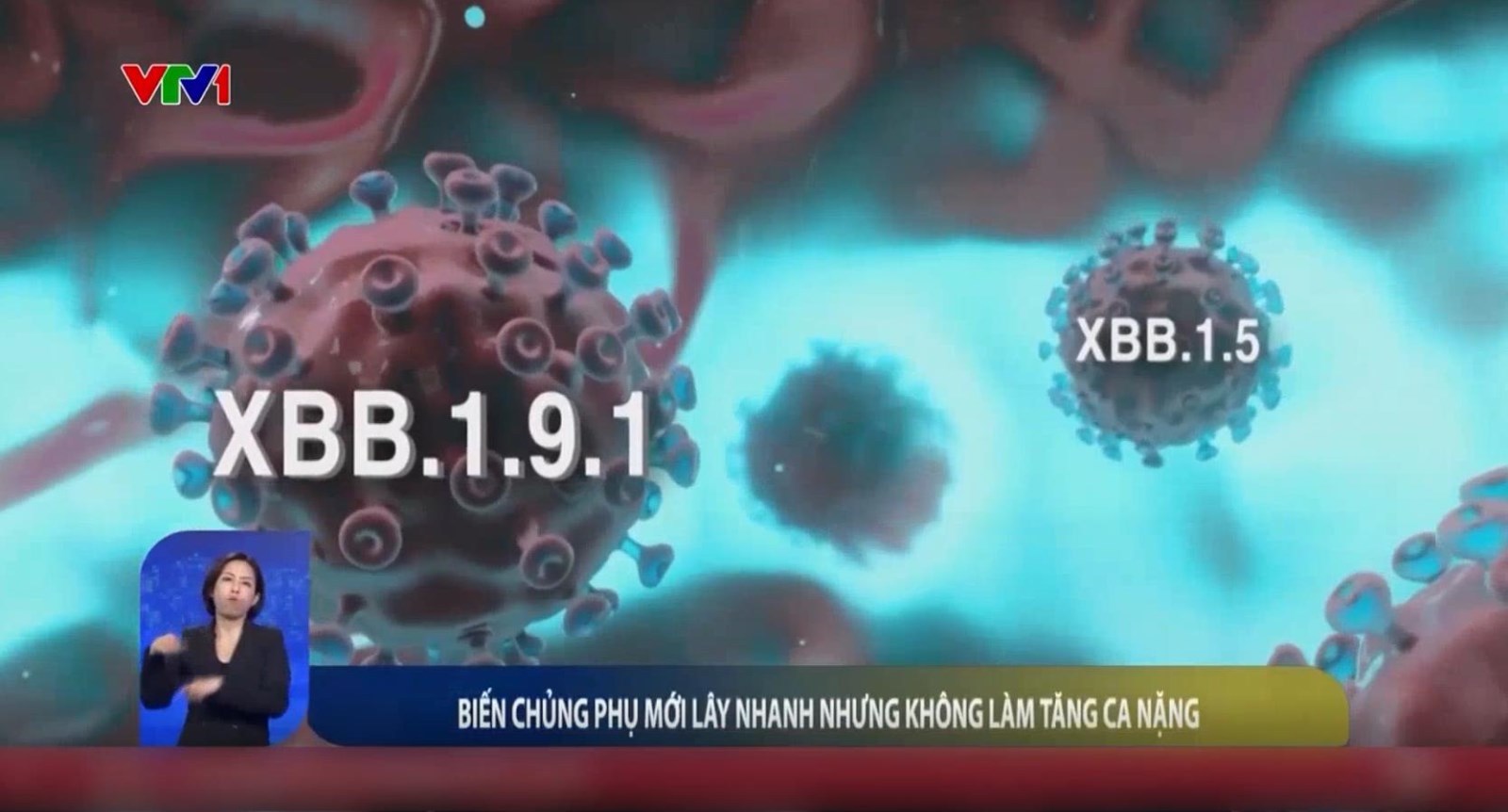 越南首次发现新冠病毒奥密克戎的新变体！_北京时间